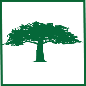 Home – Secure Life Financial